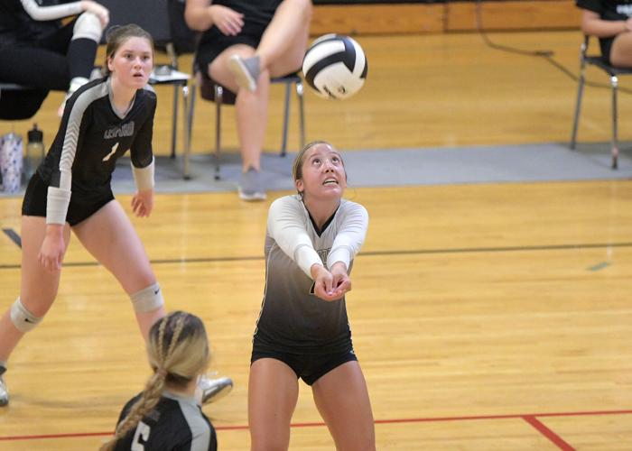 HPCA volleyball outlasts Ledford | Sports | hpenews.com