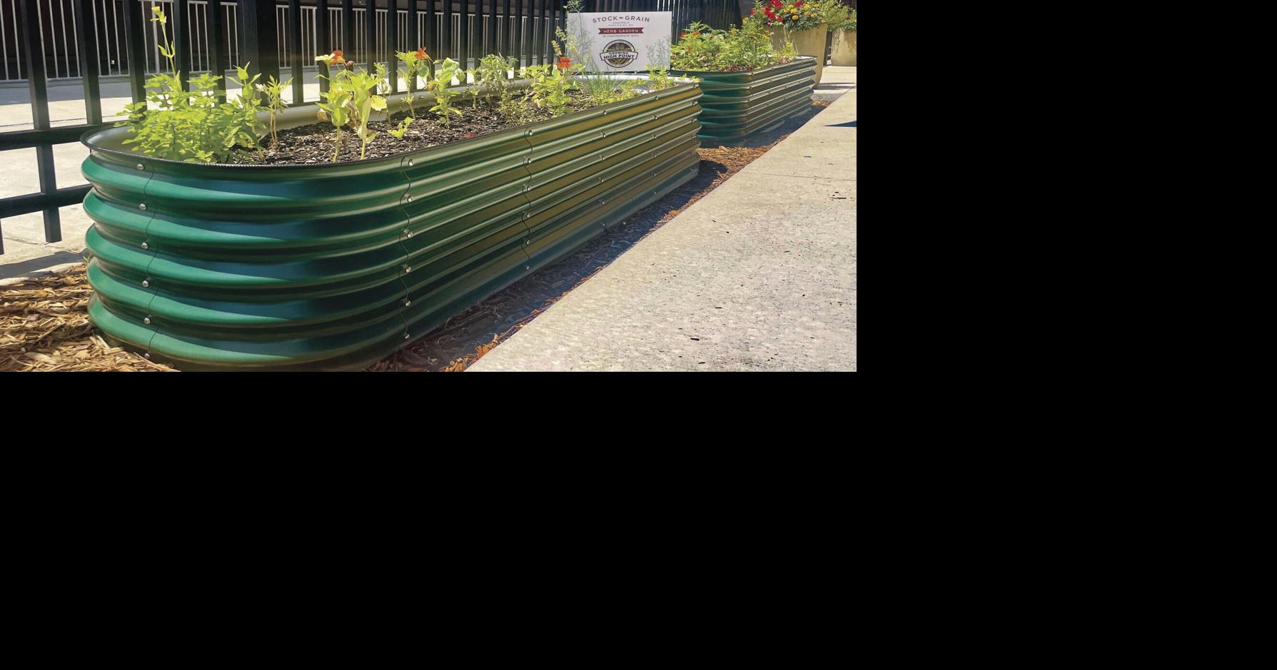 Growing High Point plants herb garden at food hall | News | hpenews.com