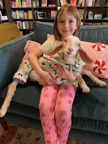 Book store aims to stoke bunny love | Archives | hpenews.com