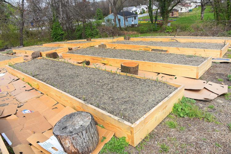 Growing High Point cultivates urban farms | Life | hpenews.com