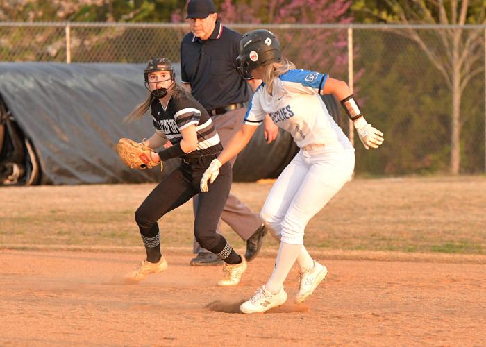 LOCAL ROUNDUP: Oak Grove softball beats rival Ledford | Newsletters ...