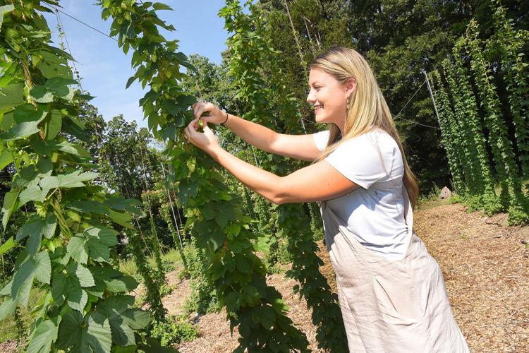 Photo Gallery: Community Garden Tour hosted by Growing High Point ...