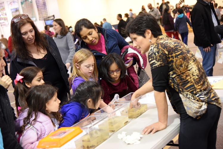 Photo Gallery: Family STEM Night hosted by Southwest Elementary School ...