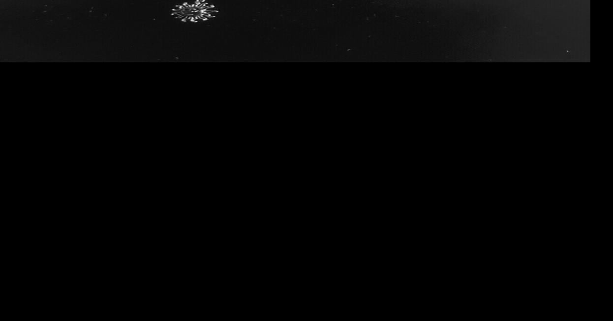 Myrna Nelson | Obituaries | hpenews.com