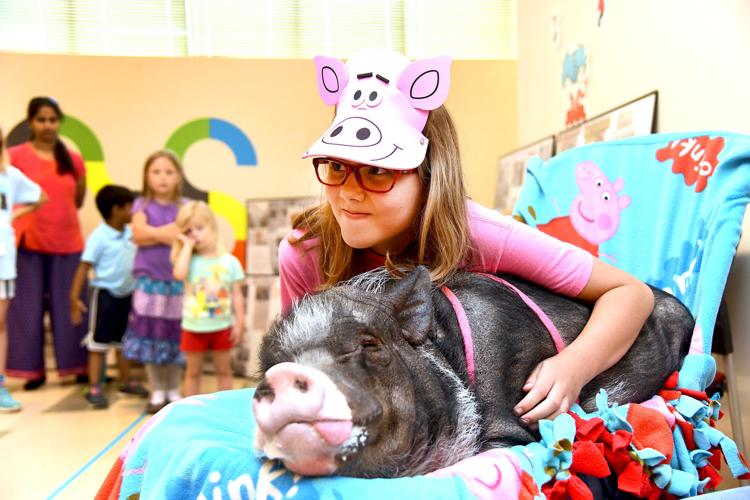 Photo Gallery: Farmer Minor and Daisy the Pig visit the Library | News ...
