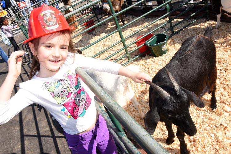 Photo Gallery: Grand opening of the High Point Public Library Plaza ...