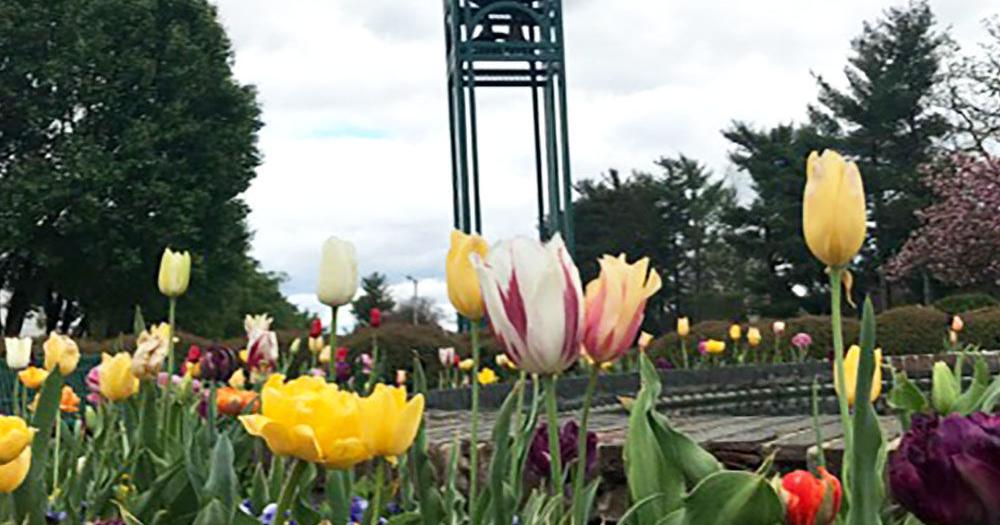 CLOCK TOWER | Thomasville Times | hpenews.com