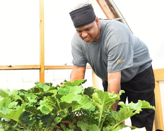 Growing High Point cultivates urban farms | Life | hpenews.com