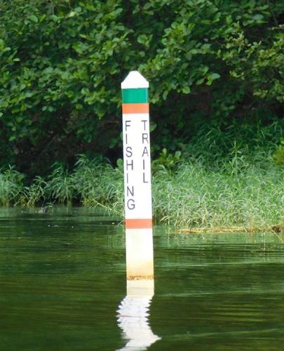 Lake Thom-A-Lex's Fishing Trail teacher technique | Thomasville Times ...