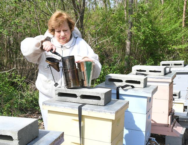 High Point woman takes beekeeping to the next level | Life | hpenews.com