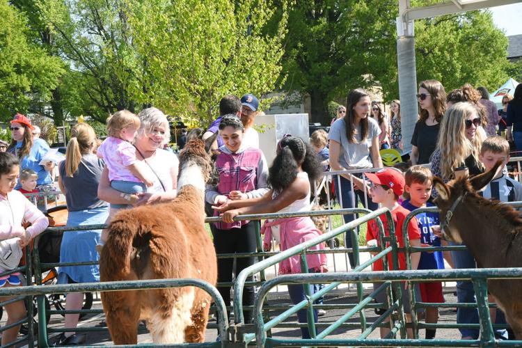 Photo Gallery: Grand opening of the High Point Public Library Plaza ...