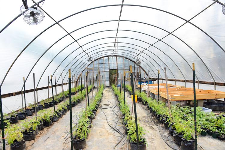 Growing High Point cultivates urban farms | Life | hpenews.com
