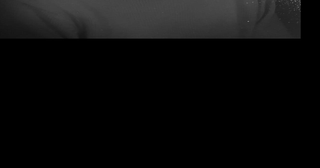 Charles Edward Lovelace | Obituaries | hpenews.com