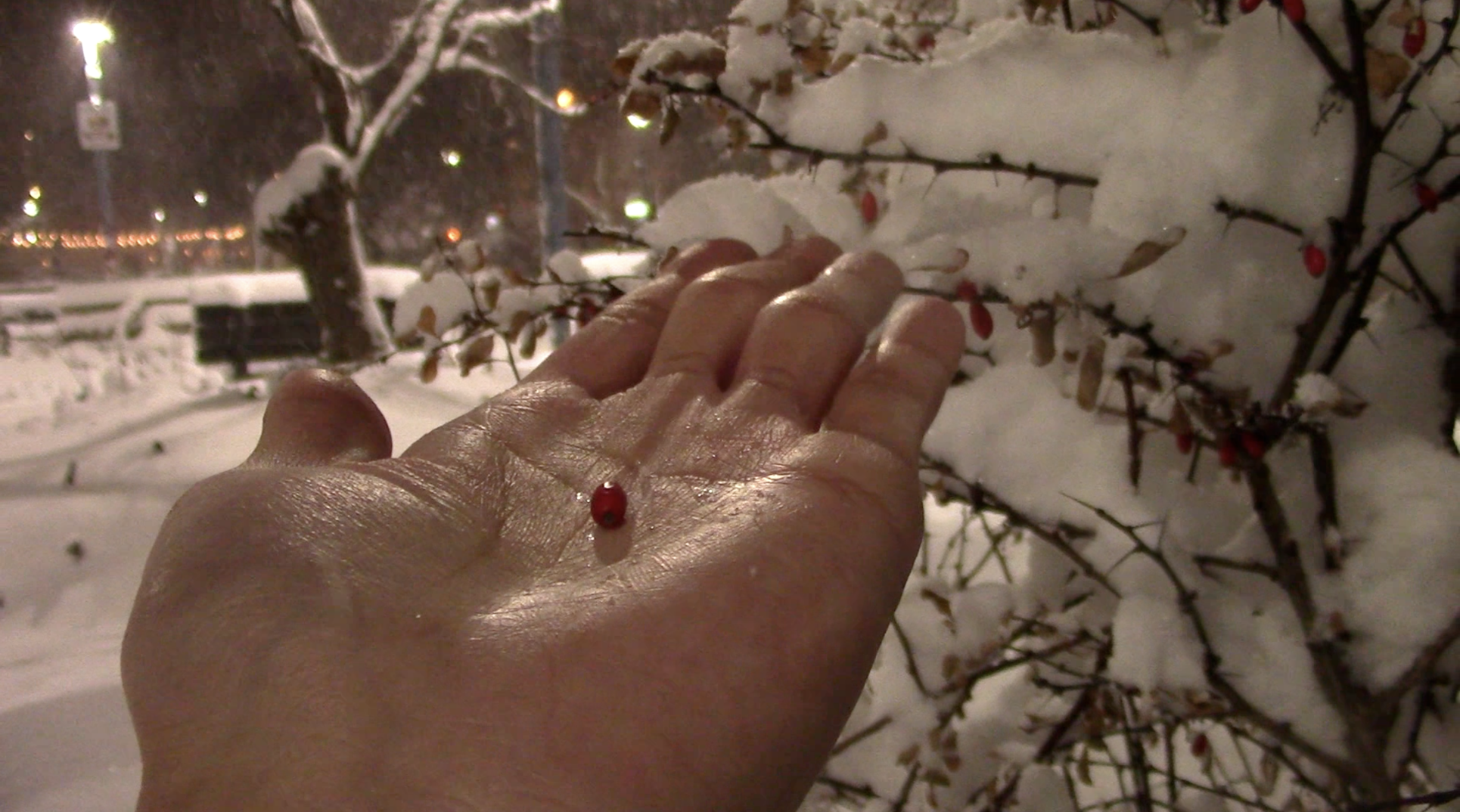 Abraham Callard makes his escape | Evening Digest | hpherald.com