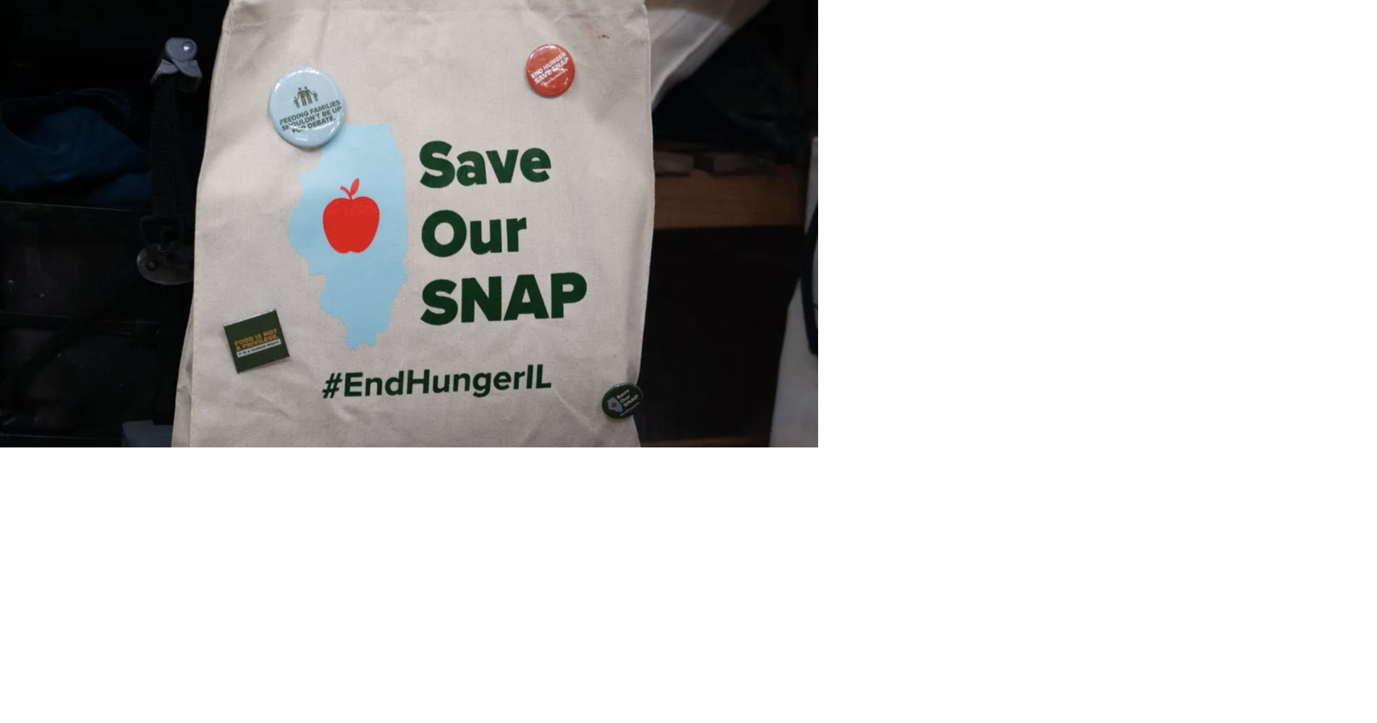 150,000 Illinois households may lose federal food assistance beginning ...