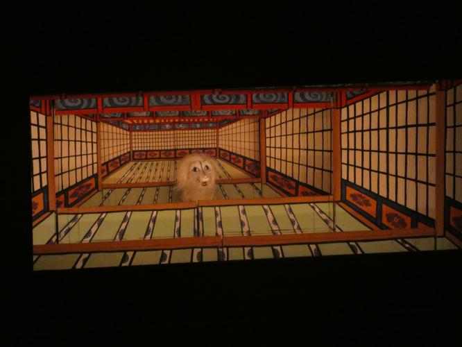 This week in photos: Book swap, winter sports and a puppet show ...