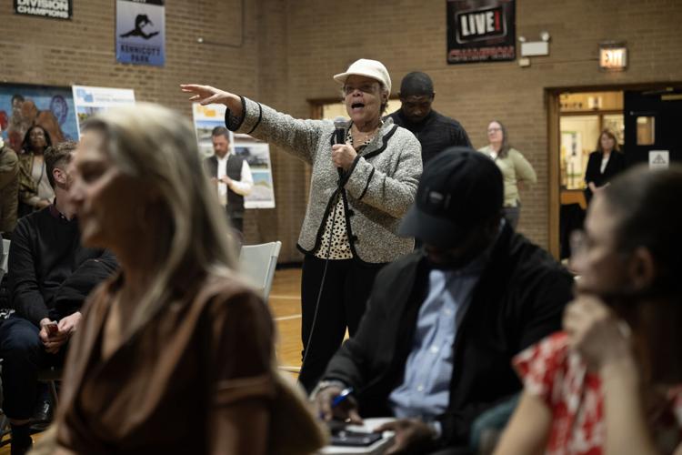 City unveils new designs for Morgan Shoal shoreline project | Evening ...