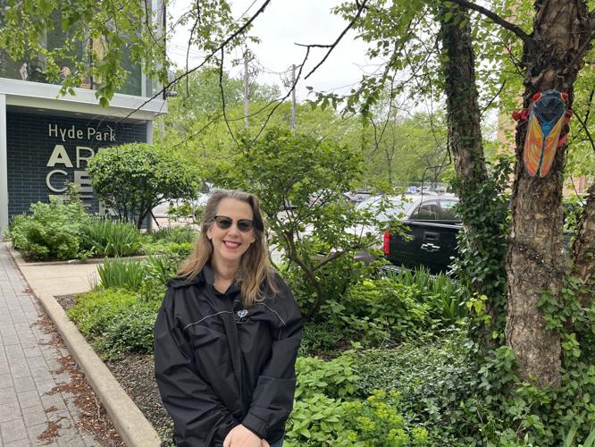 Artists ready neighborhood for cicada bonanza | Evening Digest ...