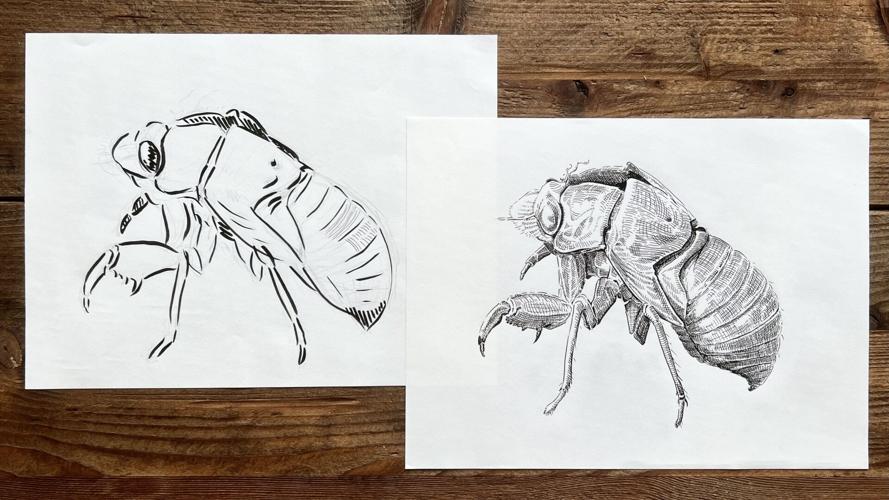 Artists ready neighborhood for cicada bonanza | Evening Digest ...