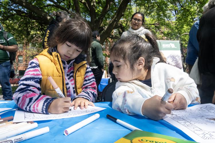 Beaver Festival brings wildlife education to Hyde Park | Evening Digest ...