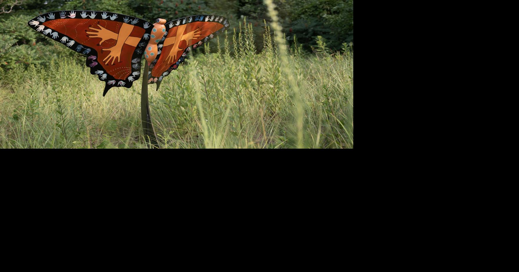 ‘Flight of Butterflies’ lands in local natural areas | Evening Digest ...