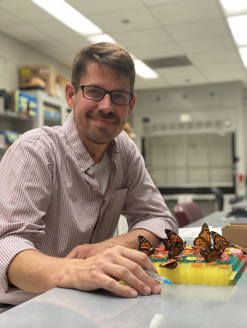 The Lab Next Door: Backyard Butterflies | Evening Digest | hpherald.com