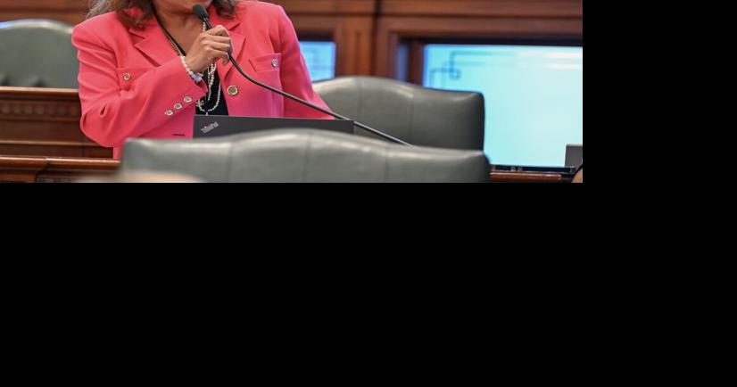 State Rep. Kimberly du Buclet releases annual community survey ...