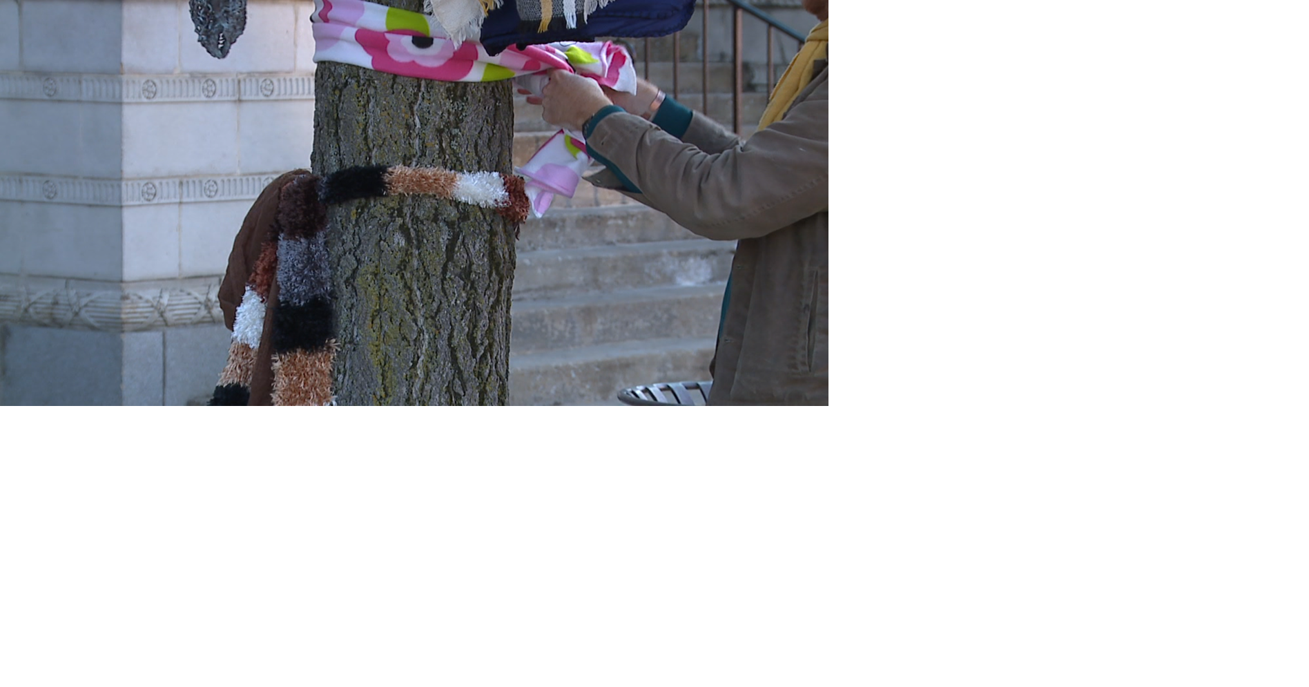 The Ned now accepting donations for ‘Tree of Warmth’ | Local News | hub ...