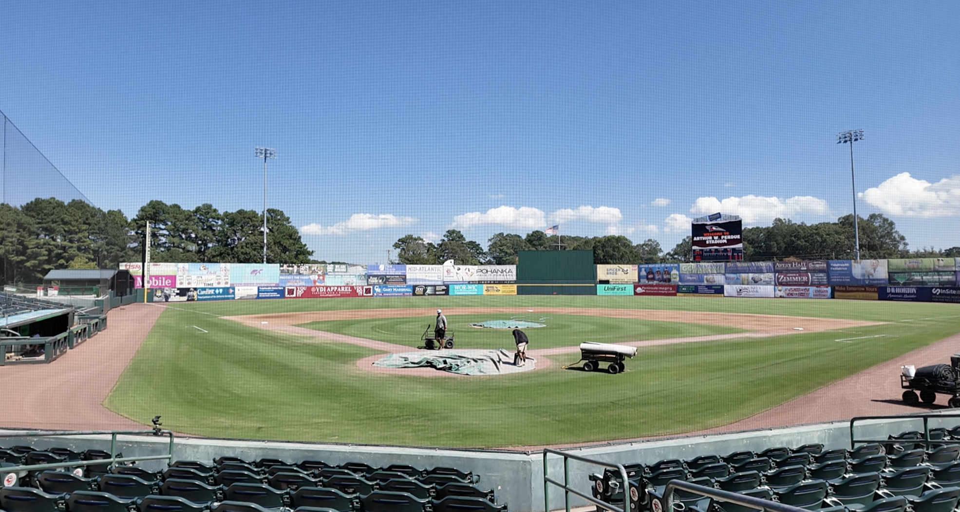 The Lower Shore is going purple with the Shorebirds | Local News | hub ...