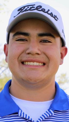BOYS GOLF | Tigers' Logan Vargas claims a state berth and teammates ...