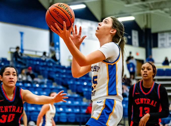 GIRLS BASKETBALL | Tigers shake free in 2nd quarter, never let up to ...