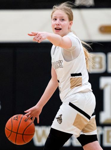 GIRLS BASKETBALL | Late miscues prove too damaging as Lady Westerners ...