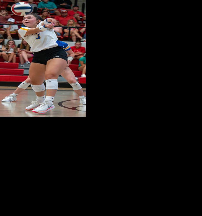 TIGER TRACKS | Fueled by a powerful returning core, volleyball crew is ...