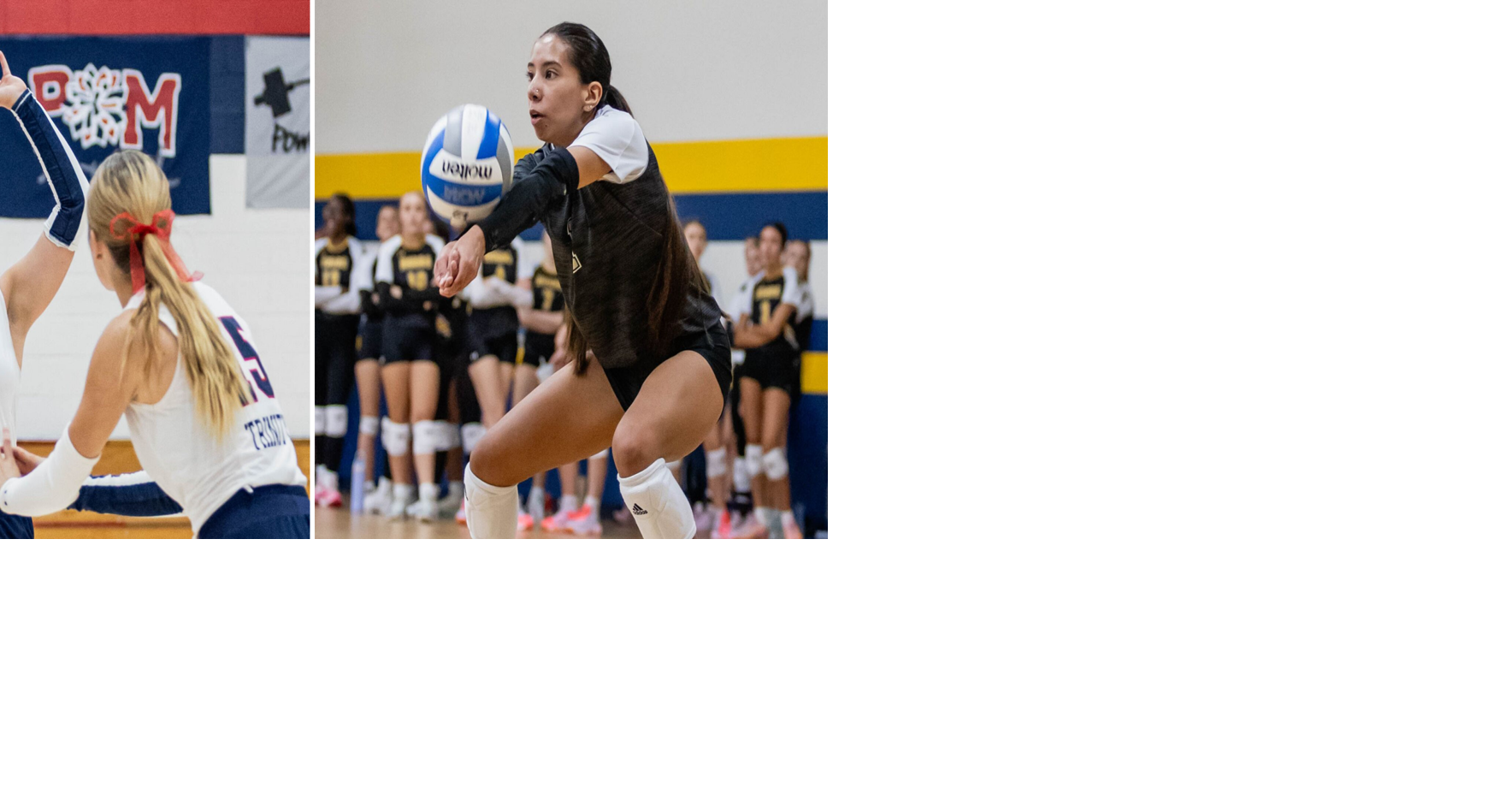 VOLLEYBALL | Players of the Week & Honor Roll | Volleyball ...