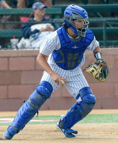 BASEBALL | Area round-bound Tigers' personality typified by veterans ...