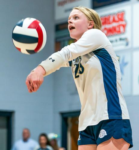 VOLLEYBALL | Player of the Week & Honor Roll | Volleyball ...