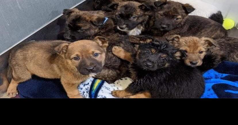 Coco's Heat in Somerset, Wisconsin is here to help | Local News ...