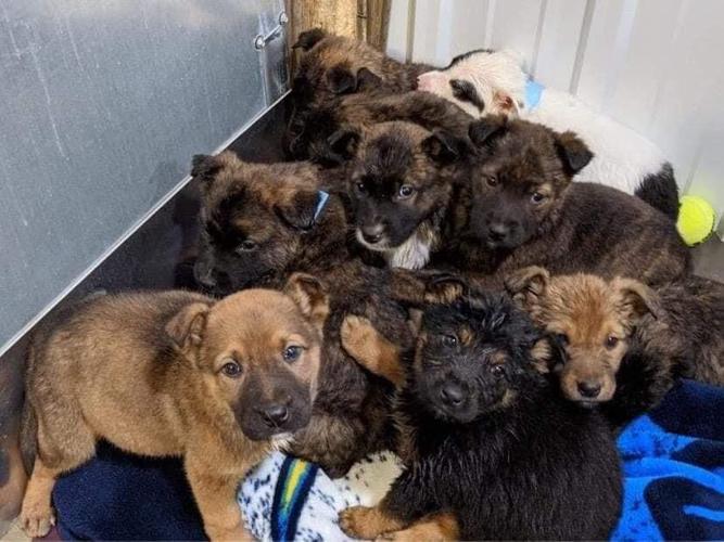 Coco's Heat in Somerset, Wisconsin is here to help | Local News ...