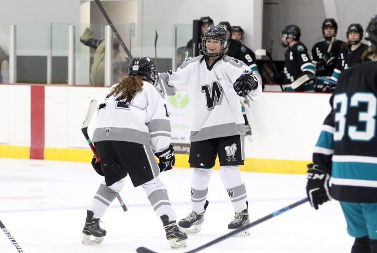 Girls Hockey: Stars knock off defending state champs while Fusion roll ...