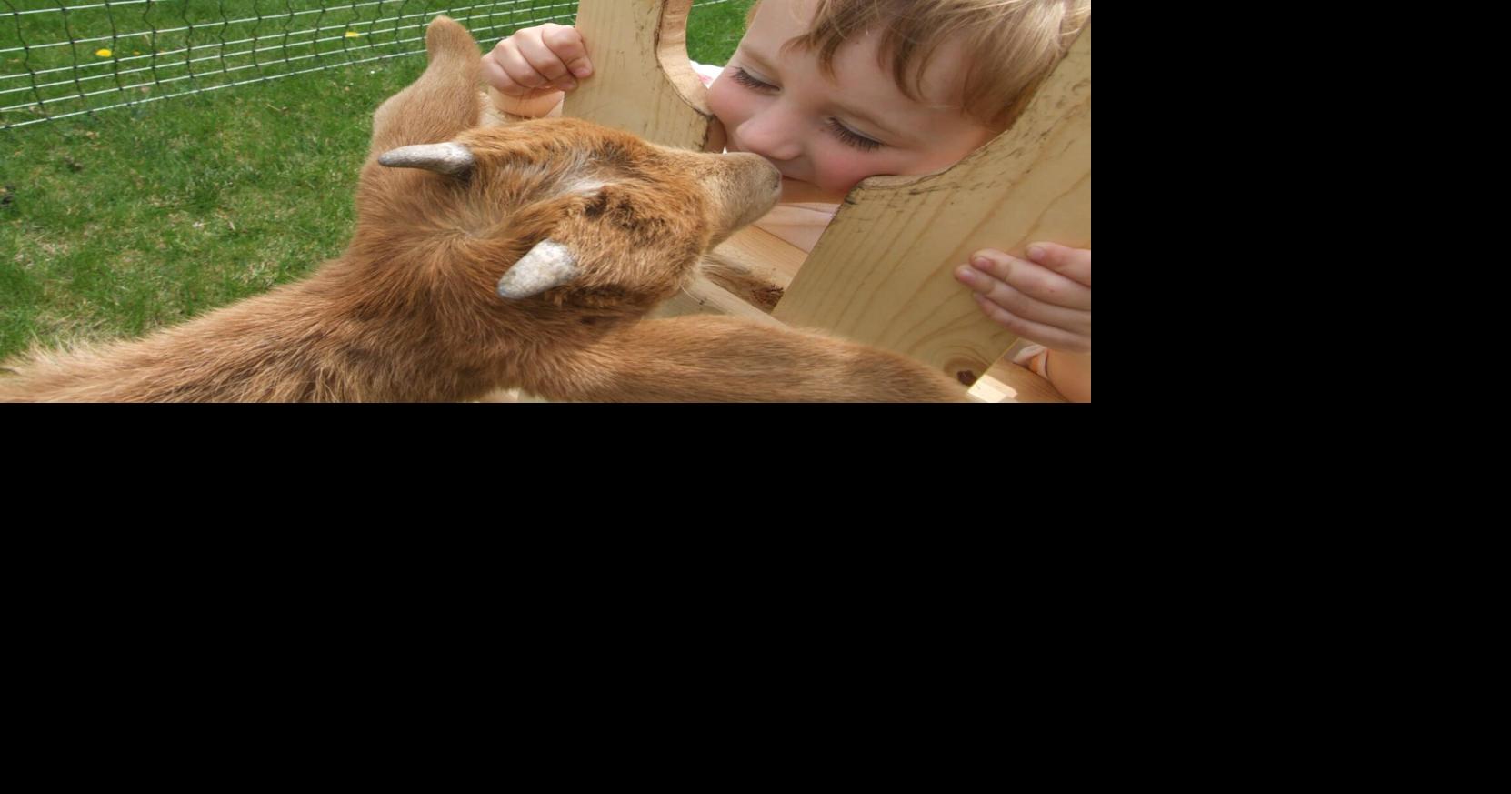 Mio Soaps and family | | hudsonstarobserver.com