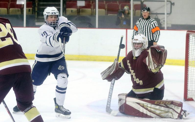 Here's seven of our favorite photos from the Hudson boys hockey team at ...