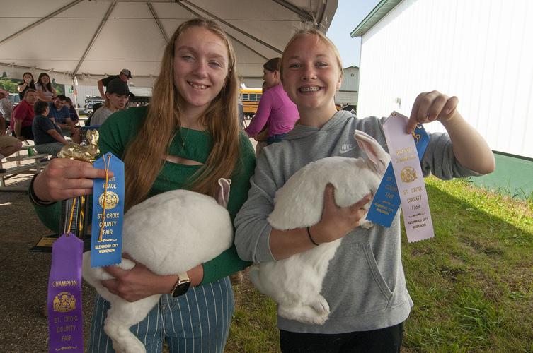 In Glenwood City, the magic of the St. Croix County Fair | Local News ...