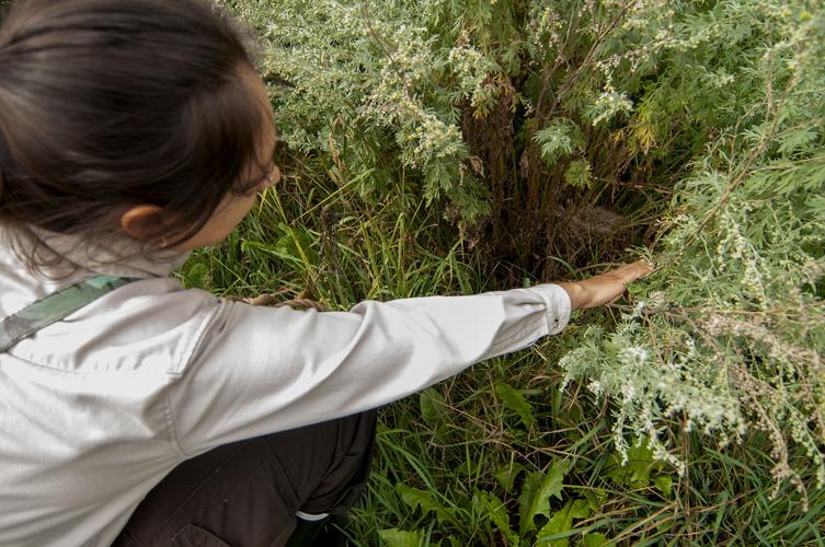 U.S. Fish and Wildlife Service summer interns wear many hats | Local ...