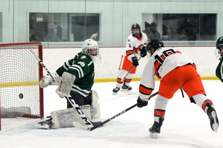 Boys hockey: Tigers topple Evergreens to advance (9 photos ...
