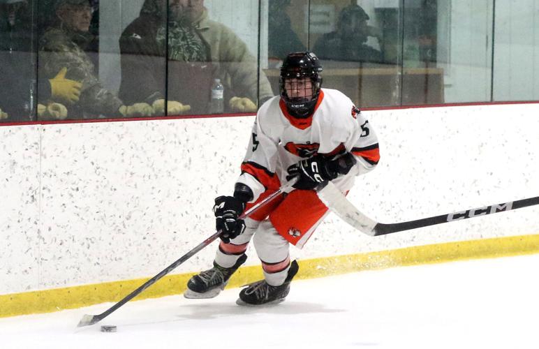 Boys hockey: Tigers topple Evergreens to advance (9 photos ...