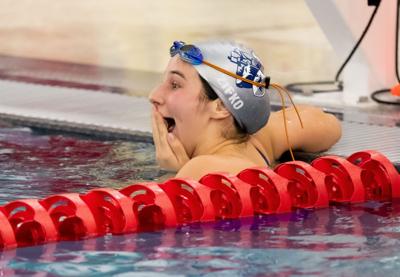 Girls Swimming and Diving: Hudson, River Falls to be represented at ...