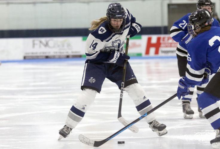 Girls hockey: Hudson moves on while Western Wisconsin Stars fall (9 ...