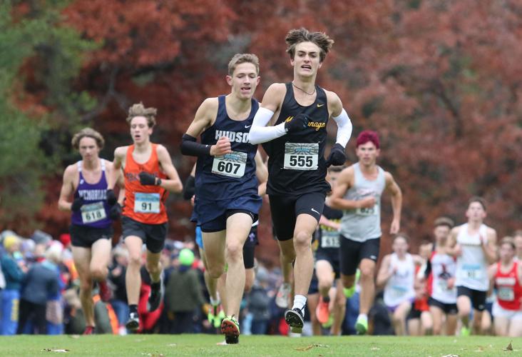 State cross country (22 photos) | | hudsonstarobserver.com
