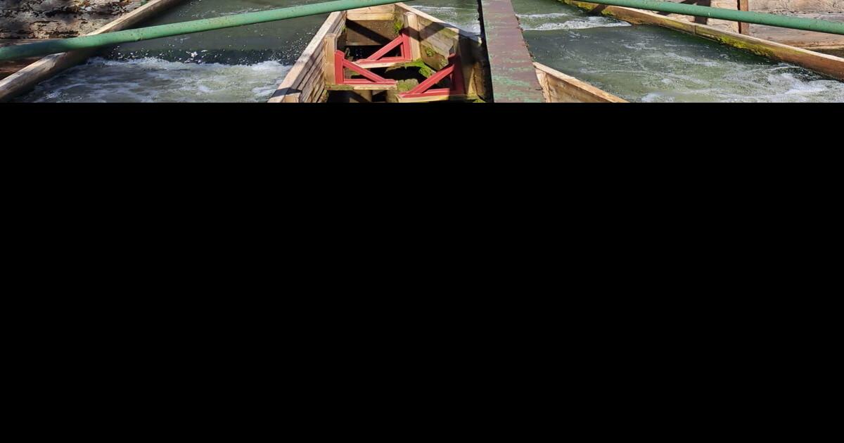 Q&A: New Richmond senior reflects on her summer in Latvia | Local News ...