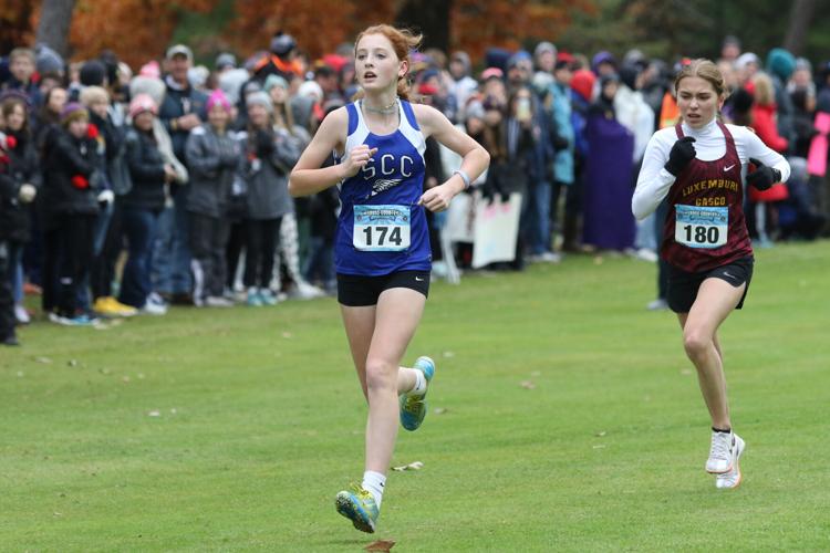 (Updated) Cross country: Hudson finishes as state runner-up (22 photos ...